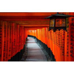 papermoon Fototapete "KYOTO TEMPEL-JAPAN BAMBUS ALLEE BUDDHA WANDTAPETE DEKO", B/L: 3,5mm x 2,6mm, Bahnen: 7 Stk. St., bunt, Schlafzimmer, Tapeten