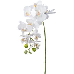 Kunstorchidee Creativ green, H:77cm, gelb, Kunstpflanzen, "Orchidee Phalaenopsis", mit real-touch-Bl&uuml;ten