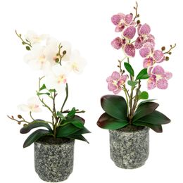 Kunstpflanze I.GE.A., B:18cm H:38cm L:38cm, beige, Badezimmer, Kunstpflanzen, "Orchidee", Mit Bl&auml;ttern und Luftwurzeln, im Topf aus Keramik, 2er Set