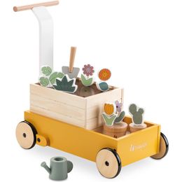 hauck Learn to Walk Plants