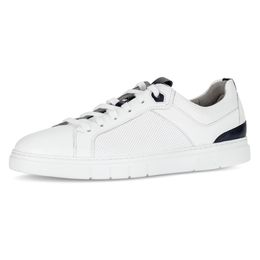 Pius Gabor Sneakers male White size 14