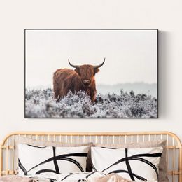 Akustik-Wechselbild Bison in den Highlands