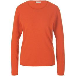 Peter Hahn - Rundhals-Pullover aus Schurwolle und Kaschmir, orange, Gr. 42 / M - Schurwolle