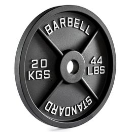 Hantelscheiben Guss 50 mm - 20,0 kg