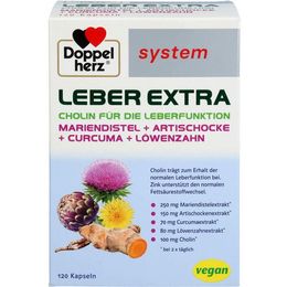 Queisser Doppelherz Leber Extra system Kapseln 120 St