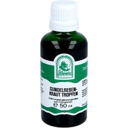 Hecht-Pharma Gundelrebenkraut Tropfen zum Einnehmen 50 ml