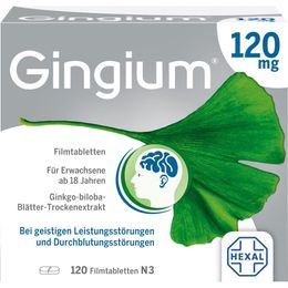 HEXAL® Gingium 120 mg 120 St.