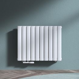 doporro Heizk&ouml;rper Badheizung Heizung Flachheizk&ouml;rper Vertikal Doppellagig FS-Wei&szlig;-60-77