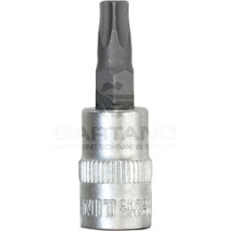 1/4" Bit-Stecknuss TX-stern TB20 GRANIT BLACK EDITION