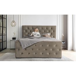 Boxspringbett Collection AB "Florence inkl. Kingsize (28 cm) Matratze (H3) mit integriertem Topper", grau (taupe), B:205cm L:226cm, Holz teilmassiv, Holzwerkstoff, Spanplatte, Komplettbetten, inkl. Bettkasten, erhältlich in der Breite 180 cm