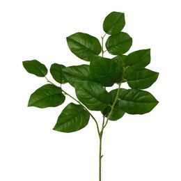 Gasper Salalzweig FLOWERS