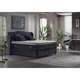 Boxbett INDIGO