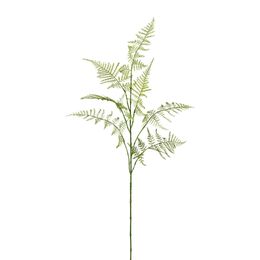 Gasper Asparagusweig FLOWERS