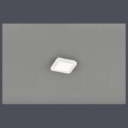 REALITY LEUCHTEN LED Deckenleuchte CAMILLUS