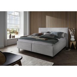 Boxbett MALENTE