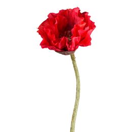 Gasper Deko-Blume MOHN