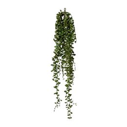 Gasper Deko-Pflanze SENECIO