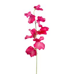 Gasper Wicke FLOWERS
