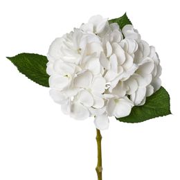 Gasper Deko-Blume HORTENSIE