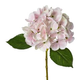 Gasper Deko-Blume HORTENSIE