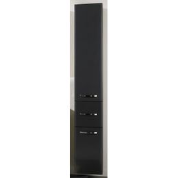 Pelipal Hochschrank VELO