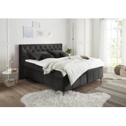 Boxspringbett PEMBROKE 8