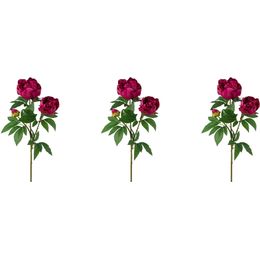Kunstblume Creativ green "Peonienzweig", pink, B:13cm H:70cm T:17cm, Obermaterial: 85% Polyester, 15% Polyethylen, Kunstpflanzen