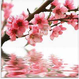 Glasbild Artland "Pfirsichblüten reflektieren im Wasser", pink (farbe bild(er): pink), B:20cm H:20cm, Bilder, in verschiedenen Größen