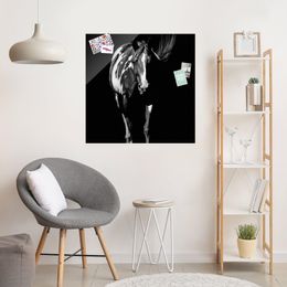 Glasbild Pferd vor Schwarz