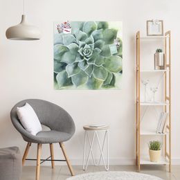 Glasbild Sukkulente Aquarell Dunkel