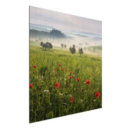 Alu-Dibond Natur & Landschaft Toskana Fr&uuml;hling