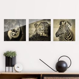 3-teiliges Glasbild Tiere Babytiere