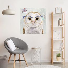 Glasbild Bebrillte Tiere - Eule