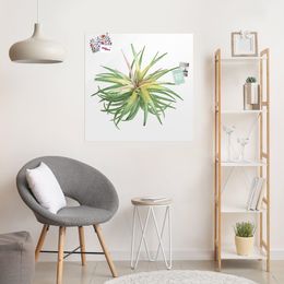 Glasbild Luftpflanze Aquarell III