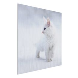 Alu-Dibond Tiere Wei&szlig; wie Schnee