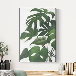 Akustik-Wechselbild Lieblingspflanzen - Monstera