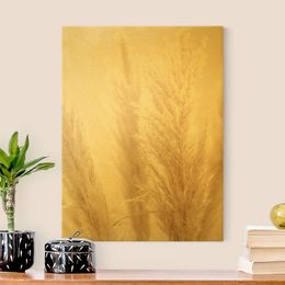 Leinwandbild Gold Pampasgras im Sonnenlicht - Wandbilder XXL Print Botanik Tropical Landhausstil Liebe Blumen Floral Wohnzimmer Schlafzimmer Bad