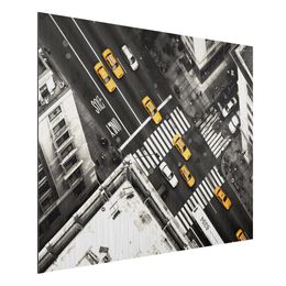 Alu-Dibond Schwarz-Wei&szlig; New York City Cabs