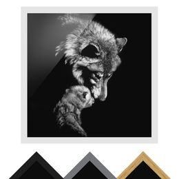Schwarz-Wei&szlig; Bild mit Rahmen Wolf vor Schwarz