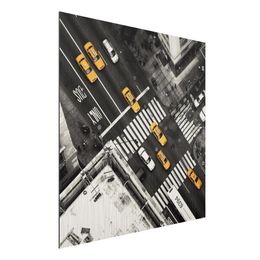 Alu-Dibond Schwarz-Wei&szlig; New York City Cabs
