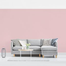 Fototapete Colour Rose - Vliestapete nach Ma&szlig; Unifarben Wohnzimmer Schlafzimmer Bad Badezimmer K&uuml;che Flur Esszimmer