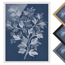 Blumen Bild mit Rahmen Denim Pflanzenstudie I