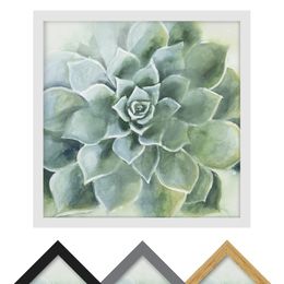 Blumen Bild mit Rahmen Sukkulente Aquarell Dunkel