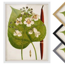 Blumen Bild mit Rahmen Tableau Blatt Bl&uuml;te Frucht V
