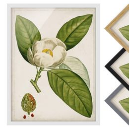 Blumen Bild mit Rahmen Tableau Blatt Bl&uuml;te Frucht II