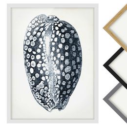 Strand Bild mit Rahmen Strandgut in Navy III