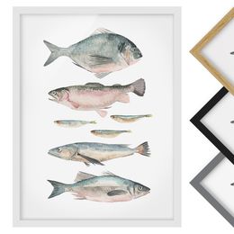Aquarell Bild mit Rahmen Sieben Fische in Aquarell II