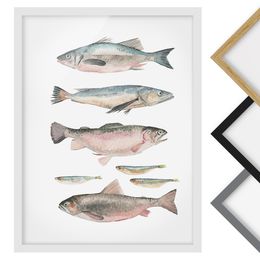 Aquarell Bild mit Rahmen Sieben Fische in Aquarell I