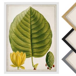 Blumen Bild mit Rahmen Tableau Blatt Bl&uuml;te Frucht I
