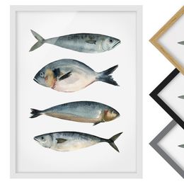 Aquarell Bild mit Rahmen Vier Fische in Aquarell II